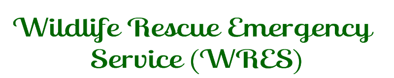 Wildlife Rescue Emergency Service (WRES) Victoria, Australia.